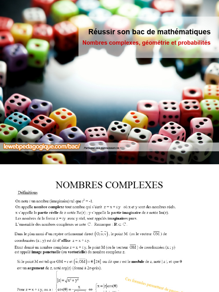 Réussir le Bac de Maths en 30 Fiches | PDF