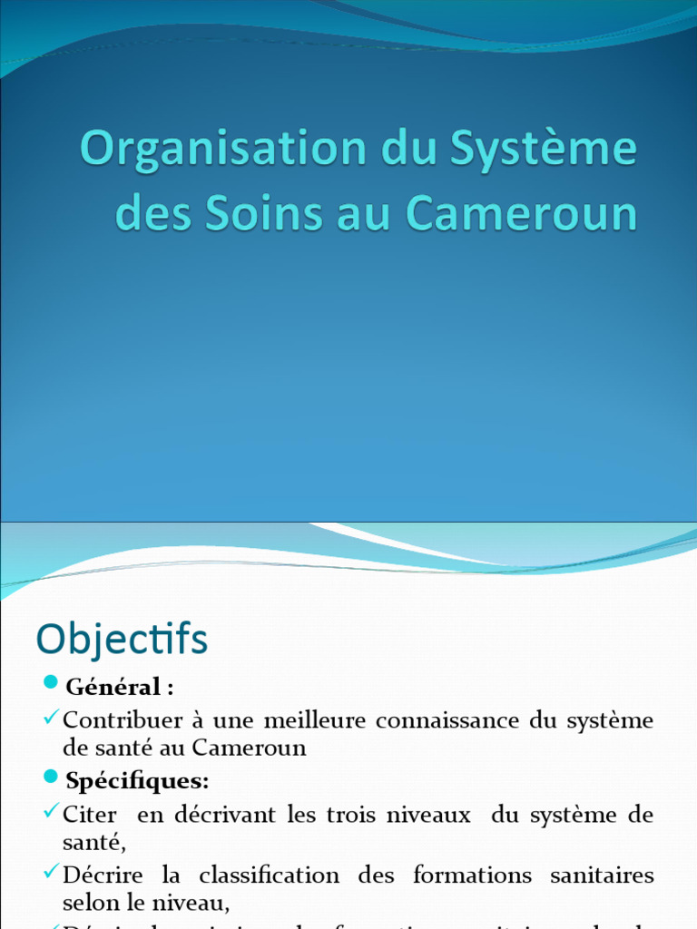 Dokumen - Tips Organisation Du Systeme Des Soins Au Cameroun | PDF | Hôpital | Soins de santé