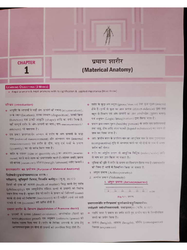 Rachna Sharir DR - Dipali Pramana | PDF