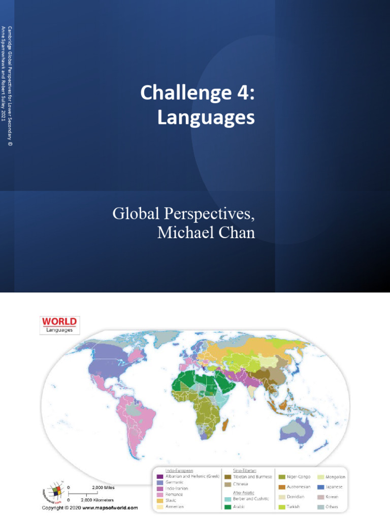 Language Learning Perspectives | PDF | Standard Chinese | Languages Of Asia