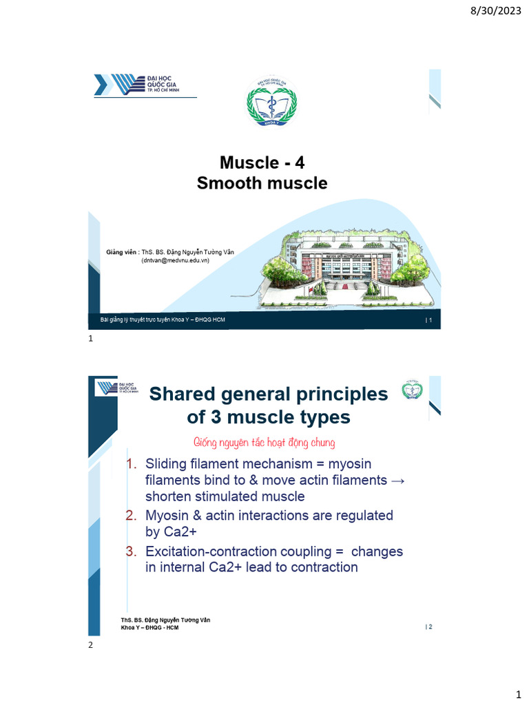 50 Muscle 4 - Smooth Muscle | PDF