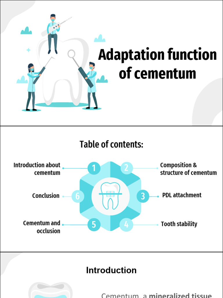 Adaptation Function If Cementum | PDF | Periodontology | Tooth