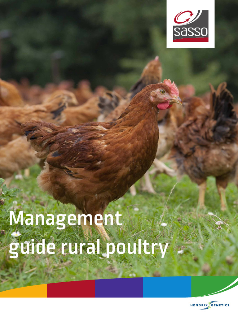 SASSO_Management_guide_Rural_poultry_2022_EN | PDF | Poultry Farming ...
