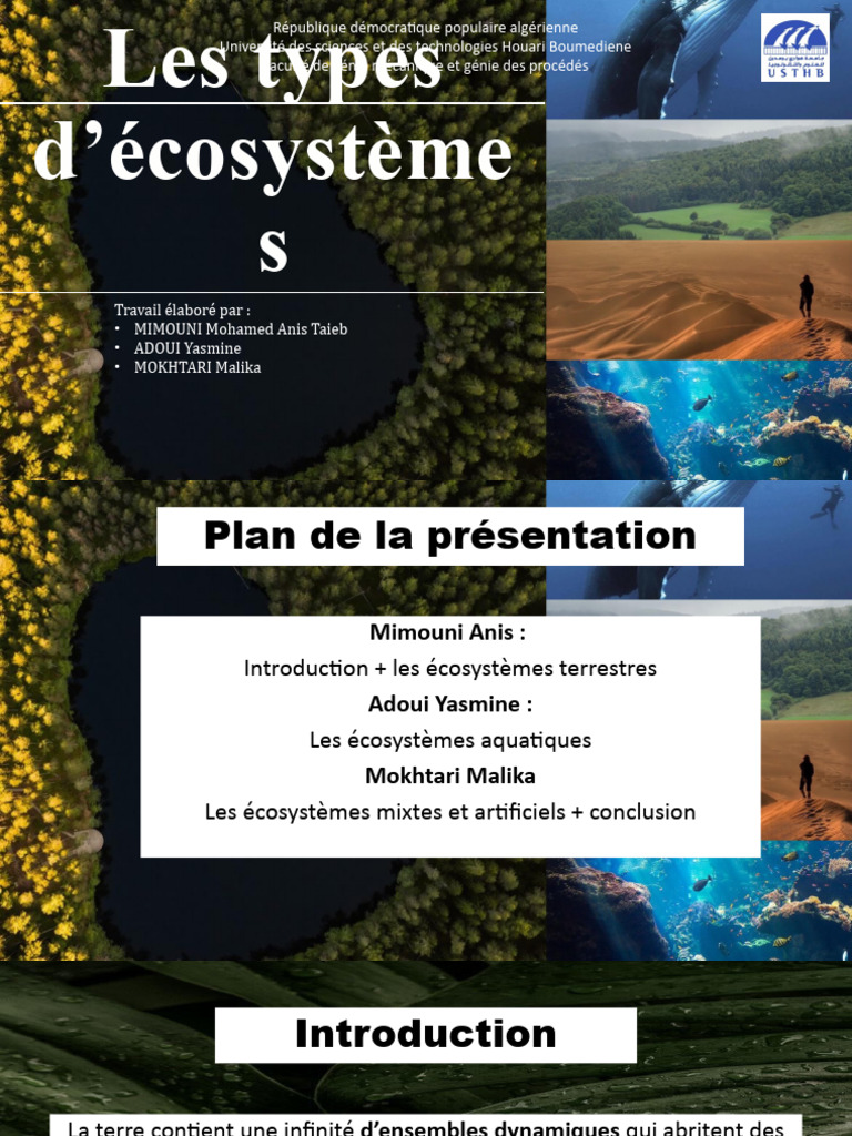 Les Types D'écosystèmes | PDF