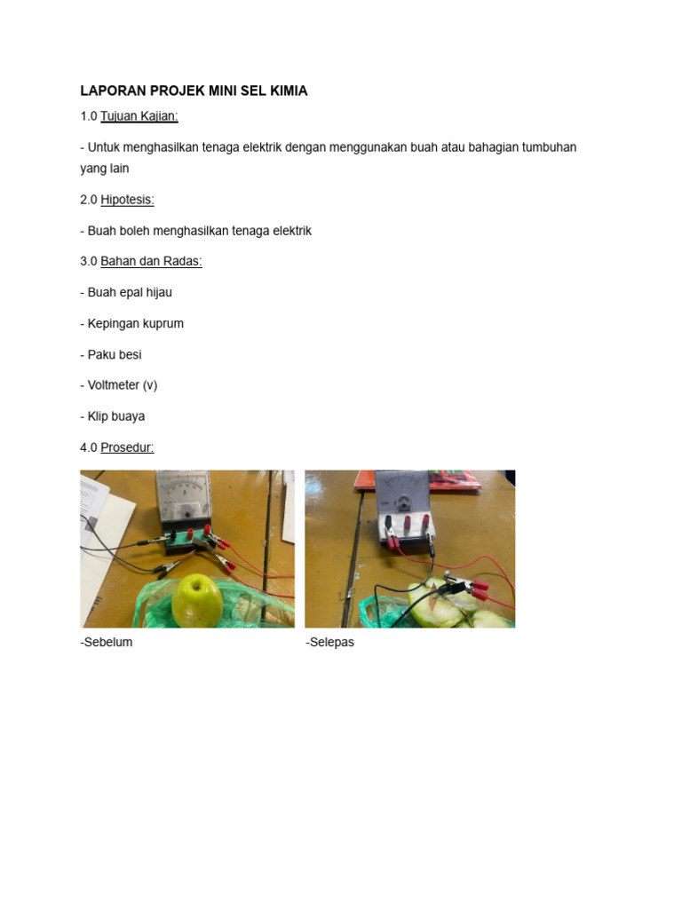 Laporan Projek Mini Sel Kimia | PDF