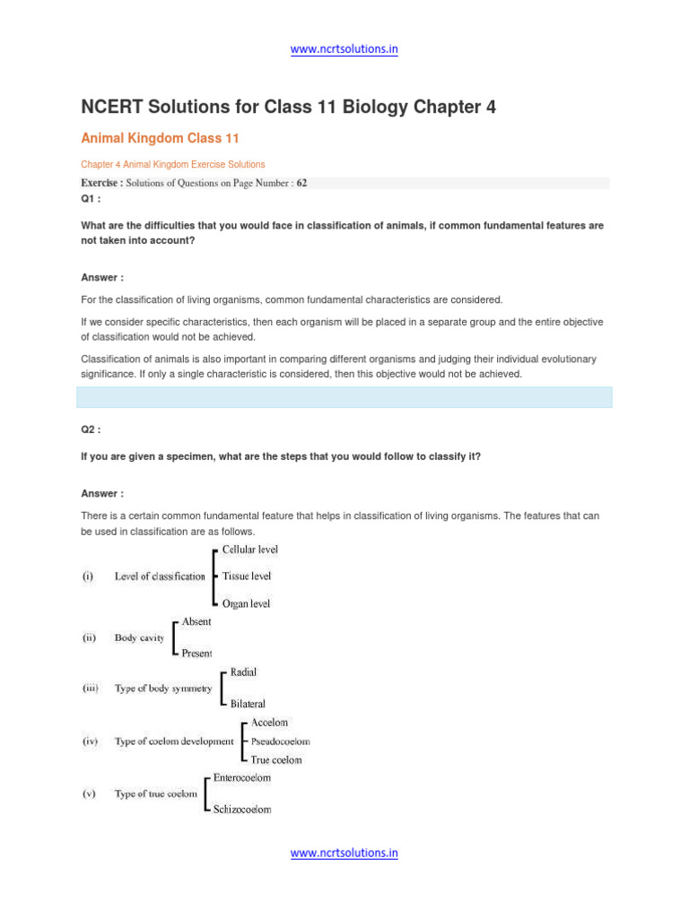 Bio. Chapter - 4 - Animal - Kingdom | PDF | Biology | Zoology