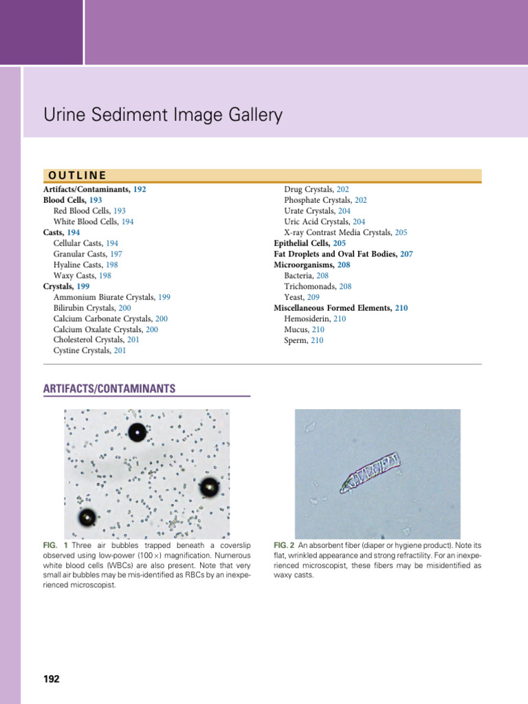 Urine Sediment Image Gallery | PDF | Animal Anatomy | Anatomy