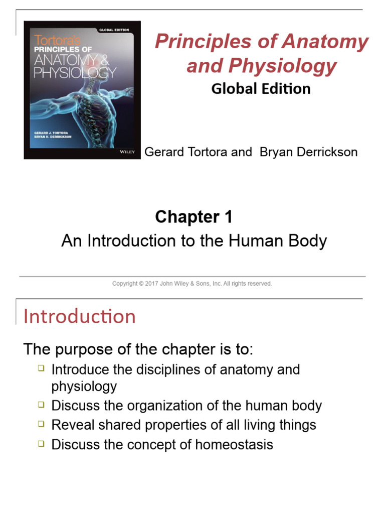 Intro-to-Human-Anatomy | PDF | Biology | Anatomy