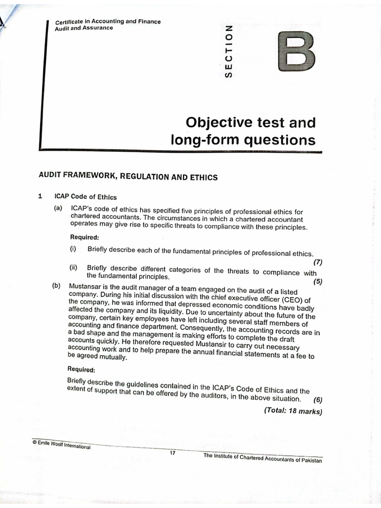 Audit Case Studies | PDF