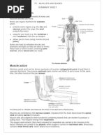 7c Test Paper | PDF | Arm | Blood