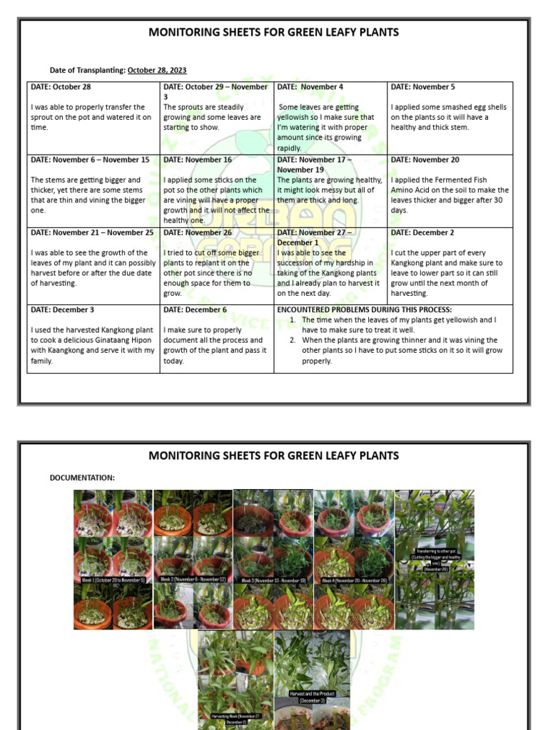 Green Leafy Plant Growth Monitoring | PDF | Plants | Agriculture