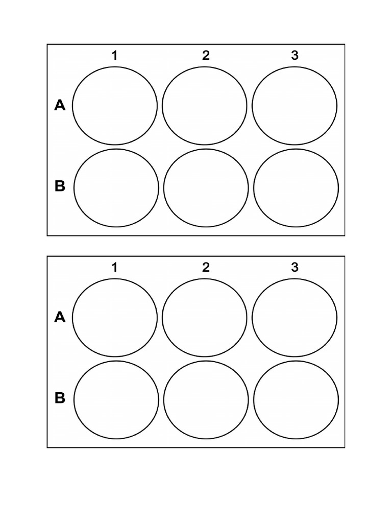 6 Well Template | PDF