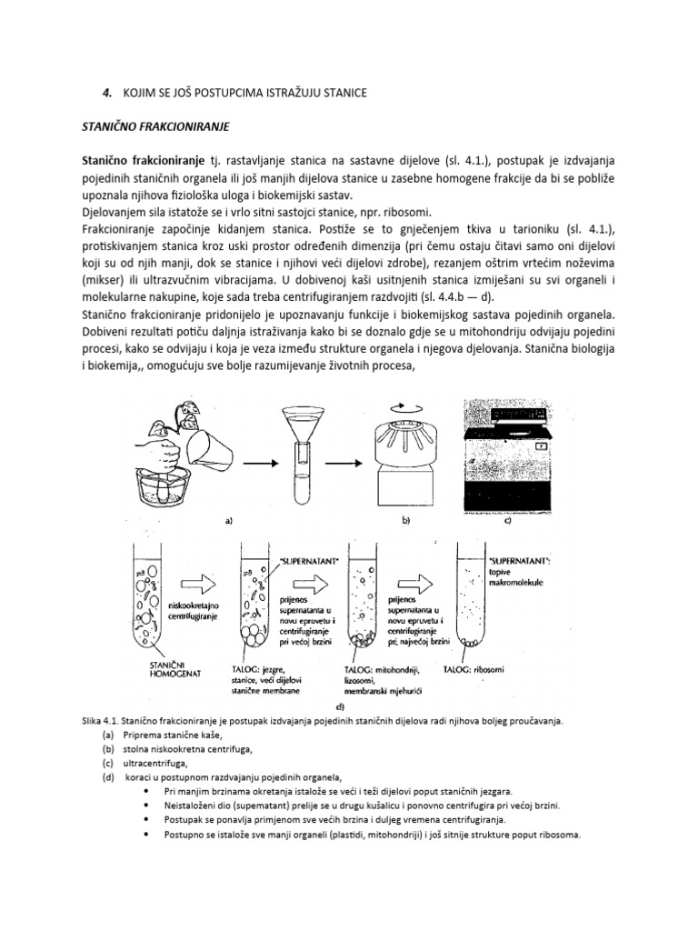Biologija - Lekcija 4 - Kojim Se Postupcima Istražuju Stanice | PDF