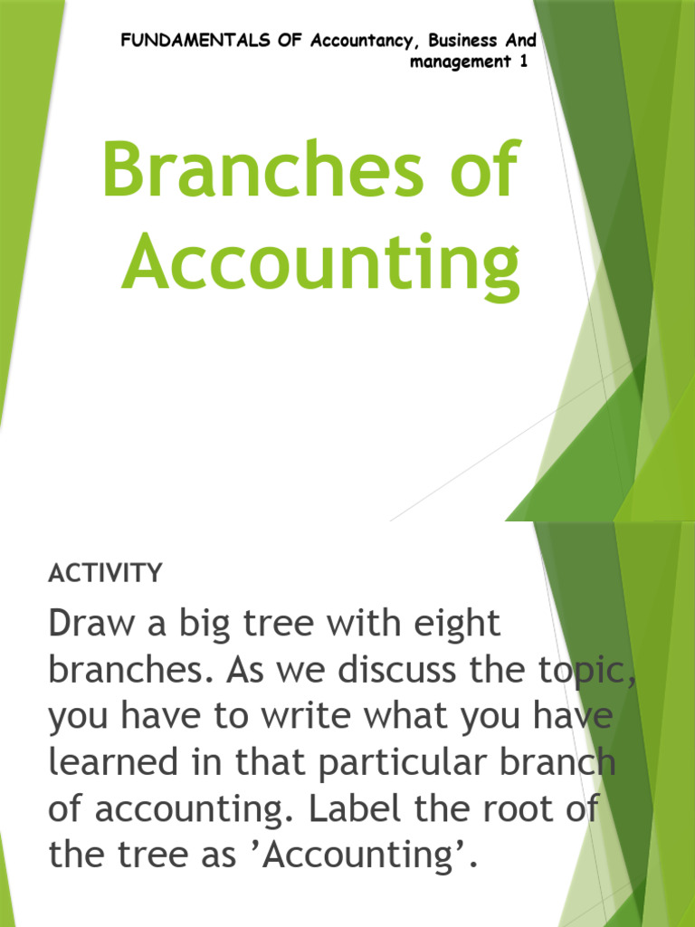 2 Branches of Accounting | PDF | Accounting | Audit