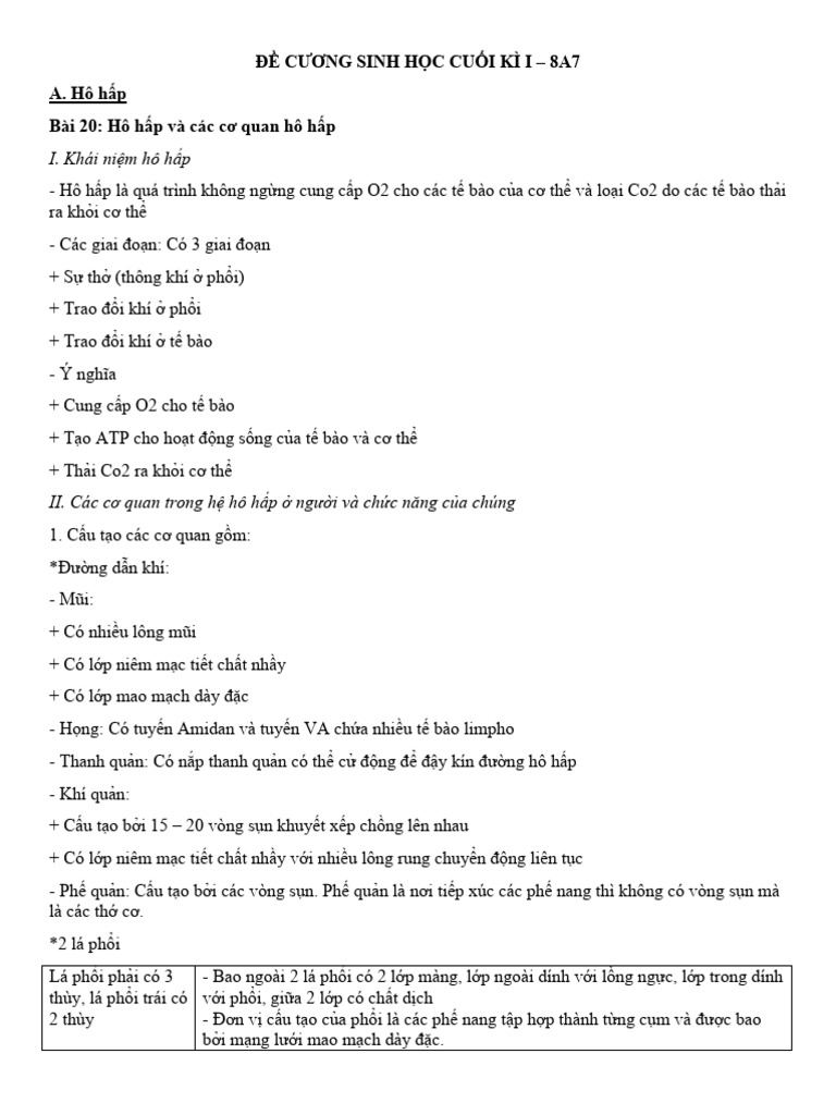 Singg and Sing | PDF