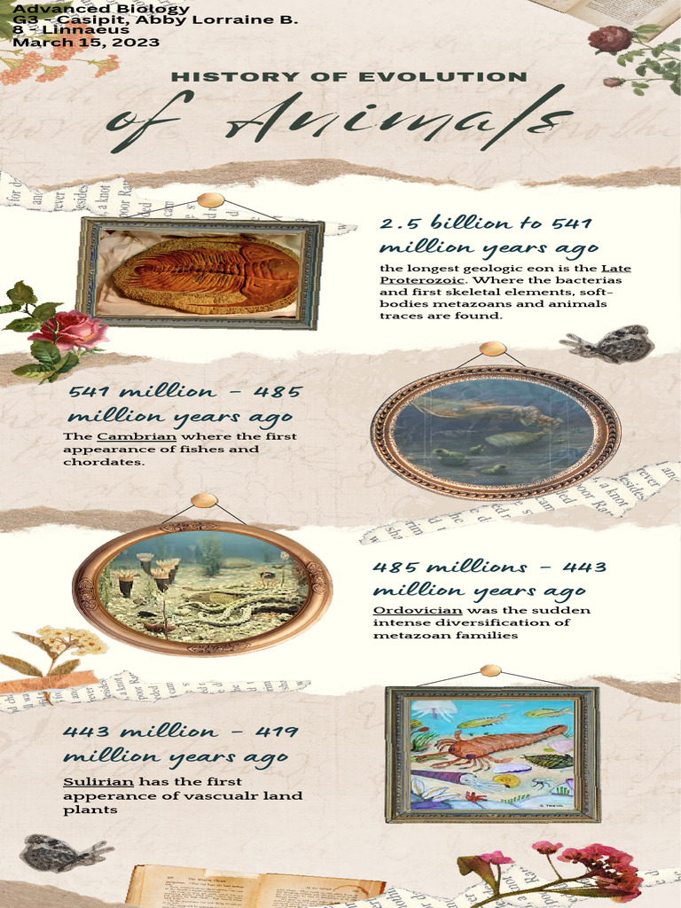 Bio Timeline | Download Free PDF | Geologic Time Scale | Biodiversity