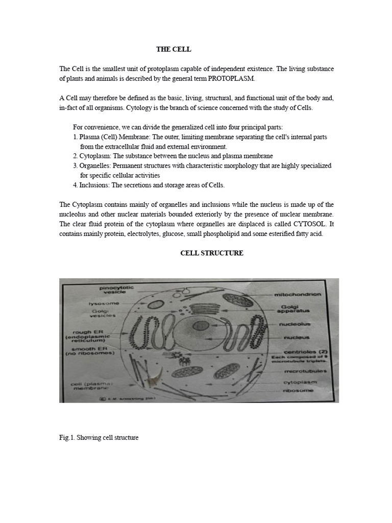 The Cell 1 | PDF | Cell Membrane | Cell (Biology)