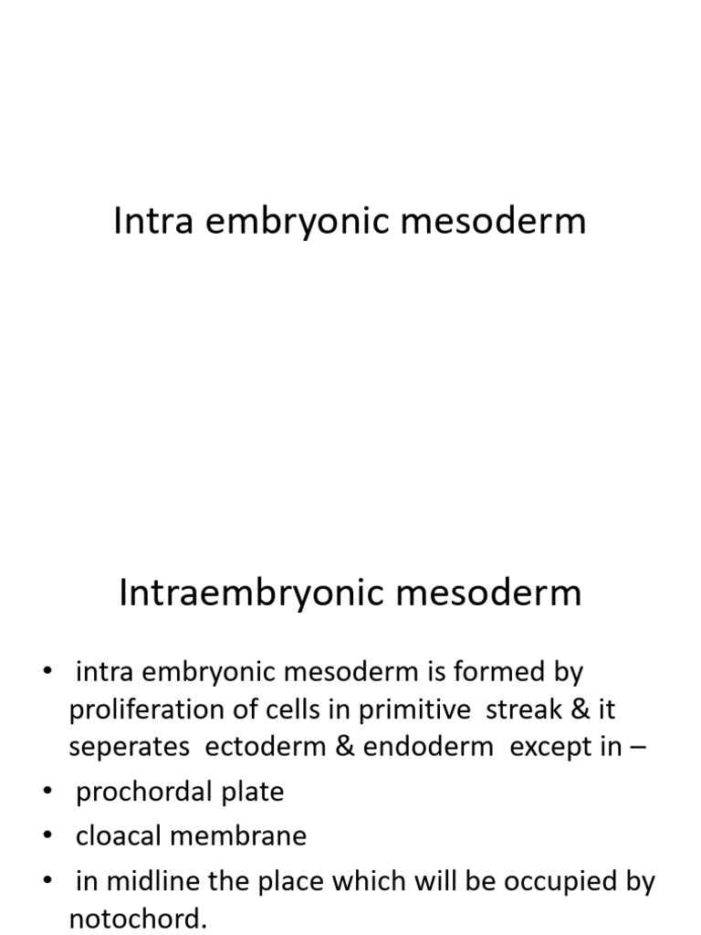 Intra Embryonic Mesoderm | PDF | Anatomy | Developmental Biology