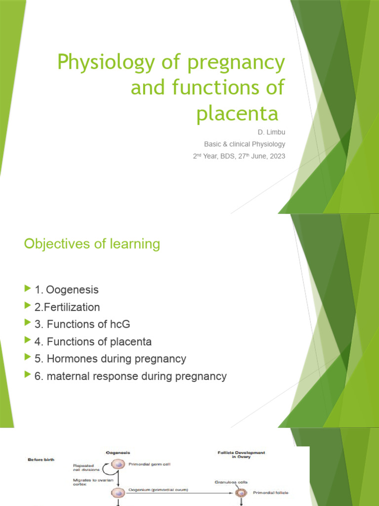 Physiology of Pregnancy & Functions of Placenta-1 | PDF | Placenta ...