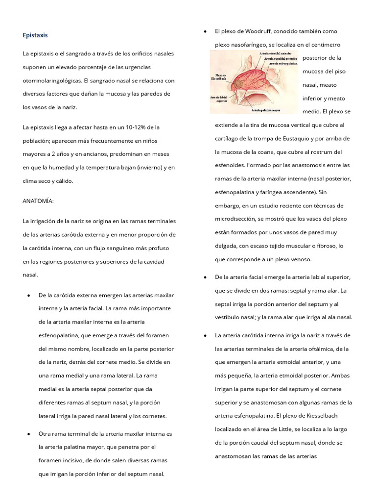 Patologias Nariz | PDF | Nariz humana | Alergia