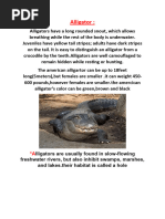Average Weight of American Alligators | PDF | Pound (Mass) | Crocodile
