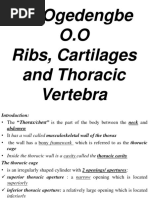 Costal Arch | PDF | Thorax | Thorax (Human Anatomy)
