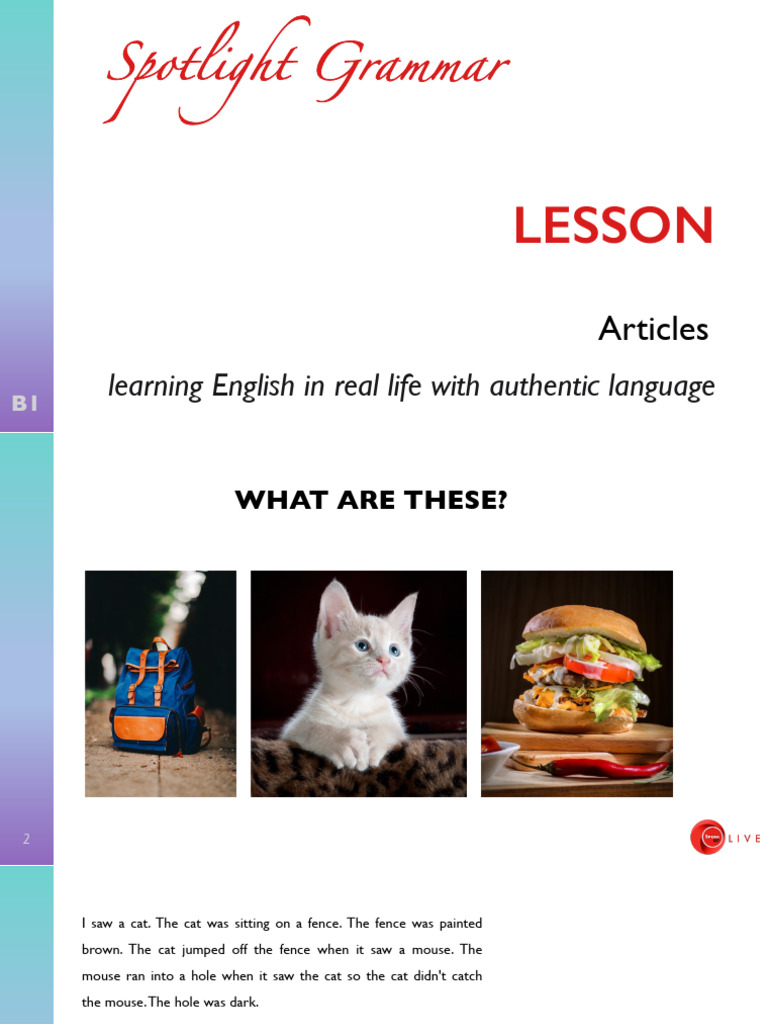 Grammar ARTICLES B1 | PDF | Sea Turtle