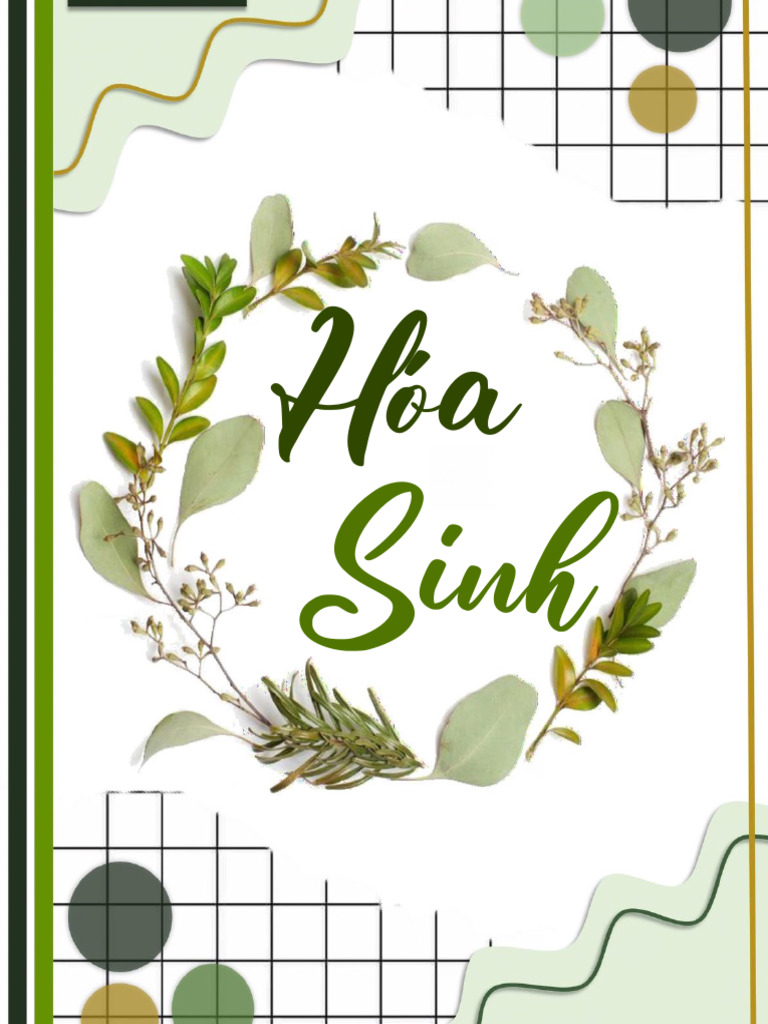 Hoá Sinh | PDF