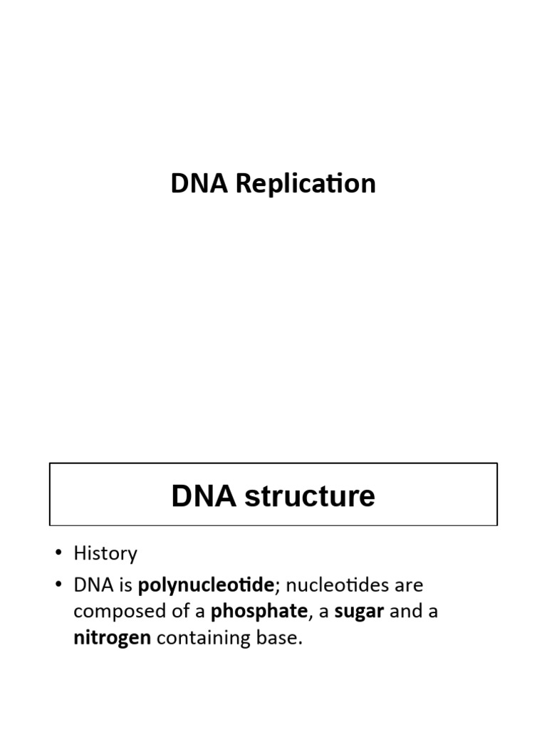 DNA Replication | PDF | Dna Replication | Dna