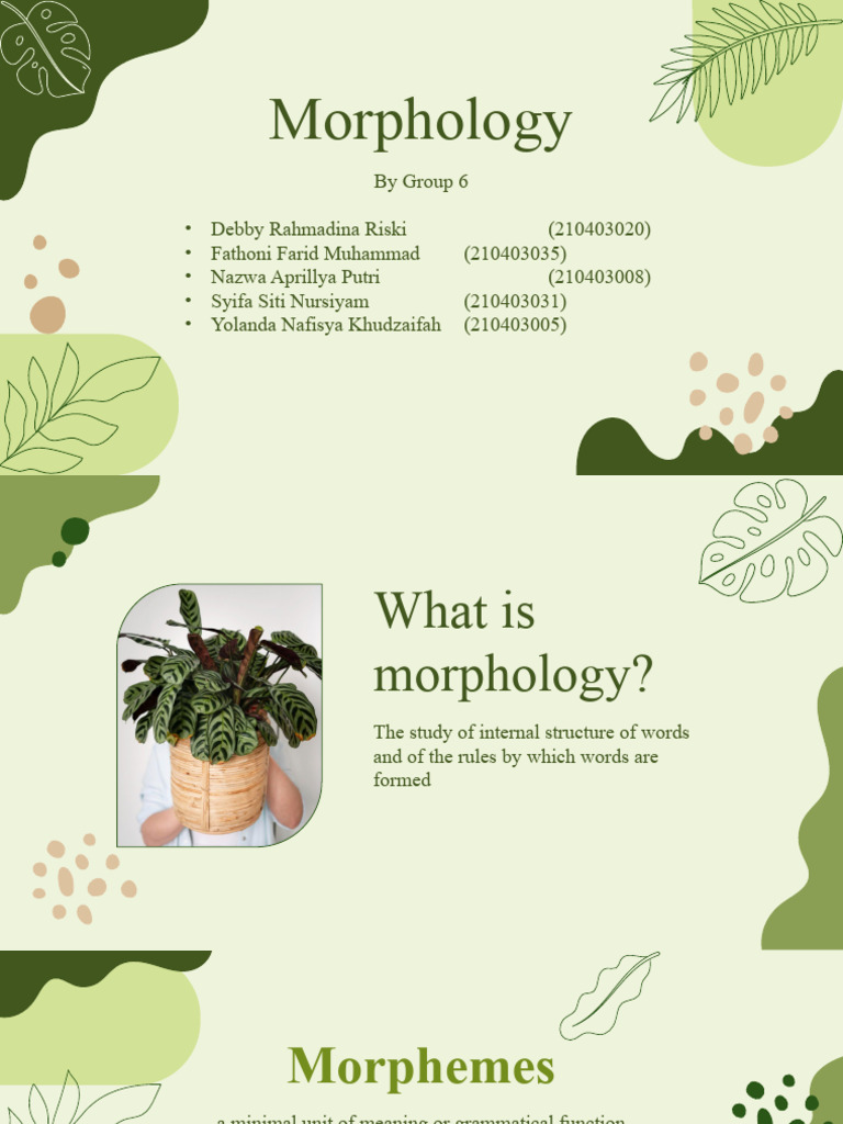 Morphology - Group 6 | PDF | Word | Morphology (Linguistics)