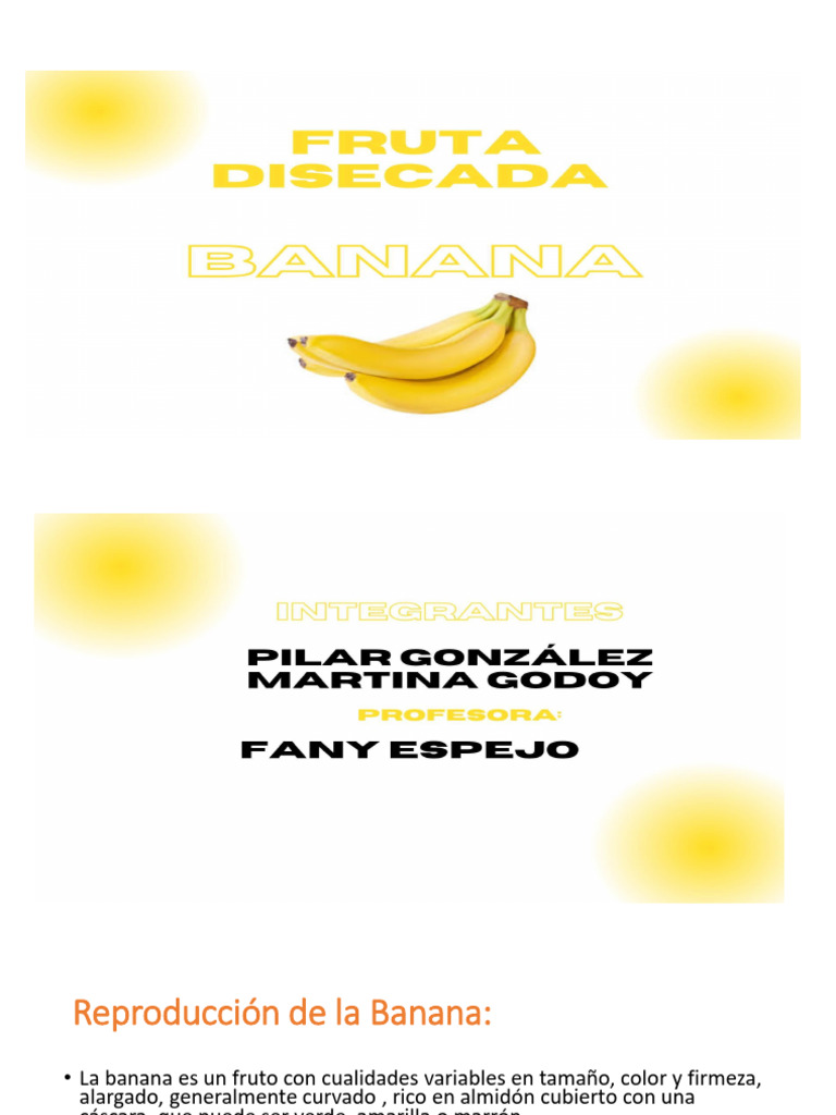 Disecado de Banana 6to Año | PDF | Plátano | Plantas