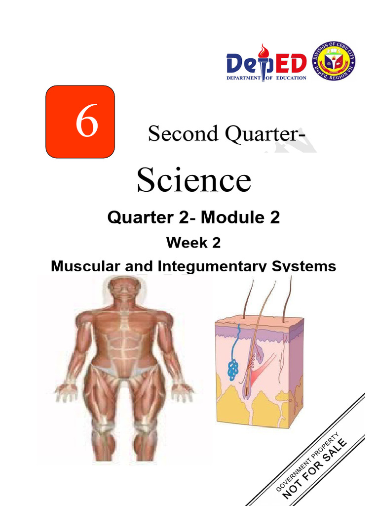 G6 Science 6 Module Q2 W2 - Muscular and Integumentary Revised1 | PDF ... G6 Science 6 Module Q2 W2 - Muscular and Integumentary Revised1 | PDF ...