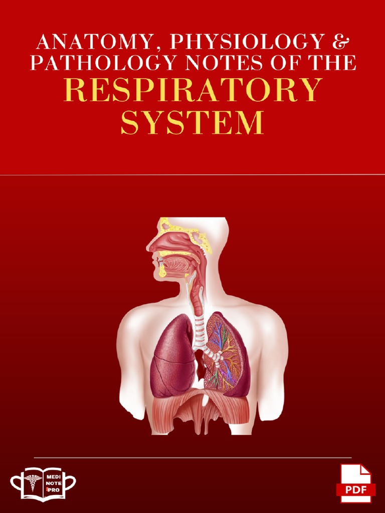 Respiratory System | PDF | Larynx | Lung