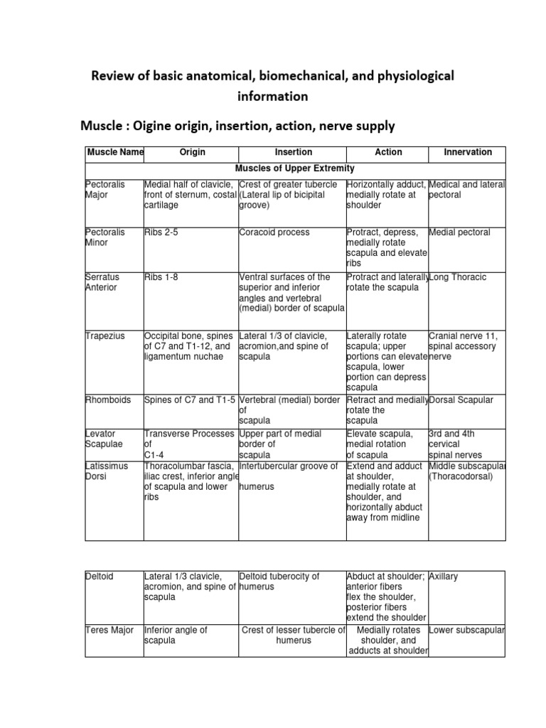 Anatomy | PDF | Science & Mathematics