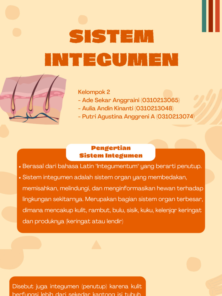 Kel 2 - Sistem Integumen | PDF