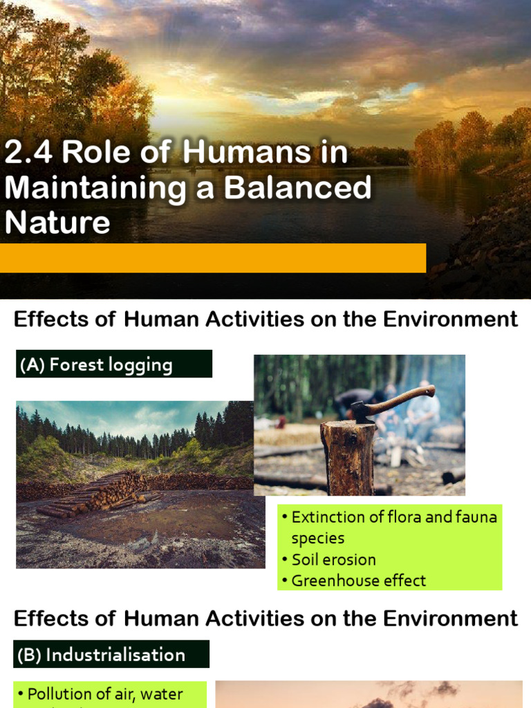 Human Impact on Environment & Solutions | PDF | Science & Mathematics ...
