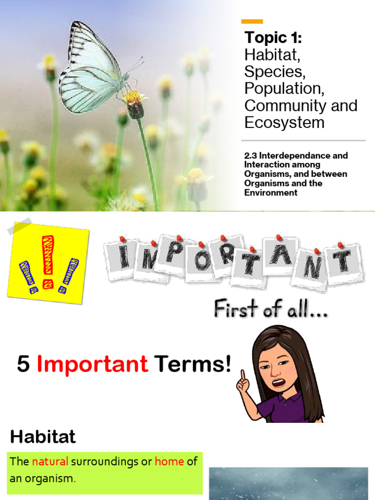 Interdependence in Ecosystems | PDF | Ecosystem | Habitat