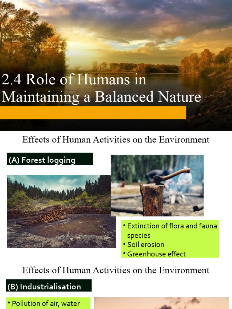 2.4 Role of Humans in Maintaining A Balanced Nature | PDF | Science ...