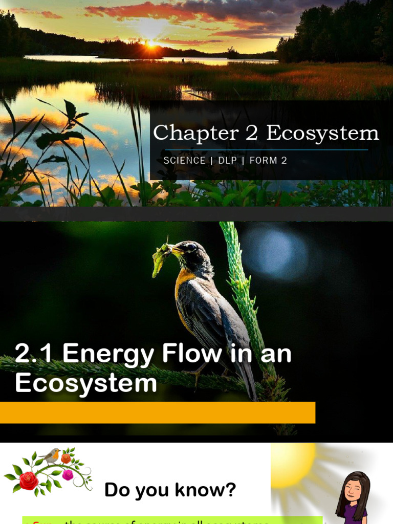 2.1 Energy Flow in an Ecosystem | PDF | Ecosystem | Food Web