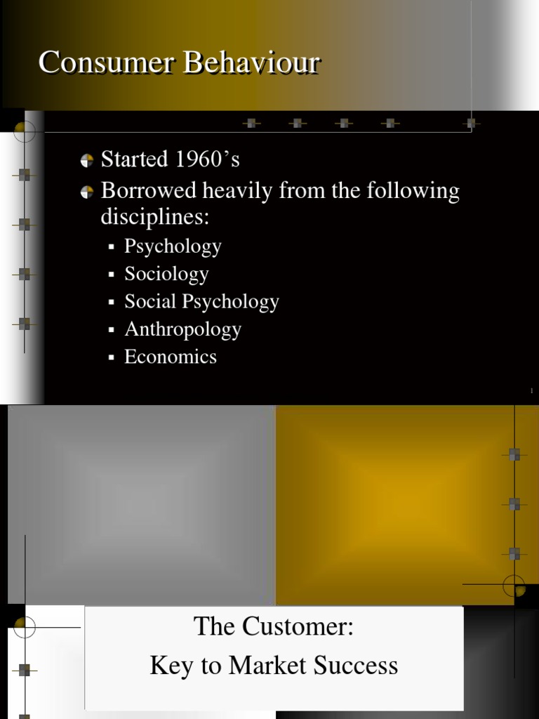 The Customer An Introduction | PDF | Consumer Behaviour | Behavior