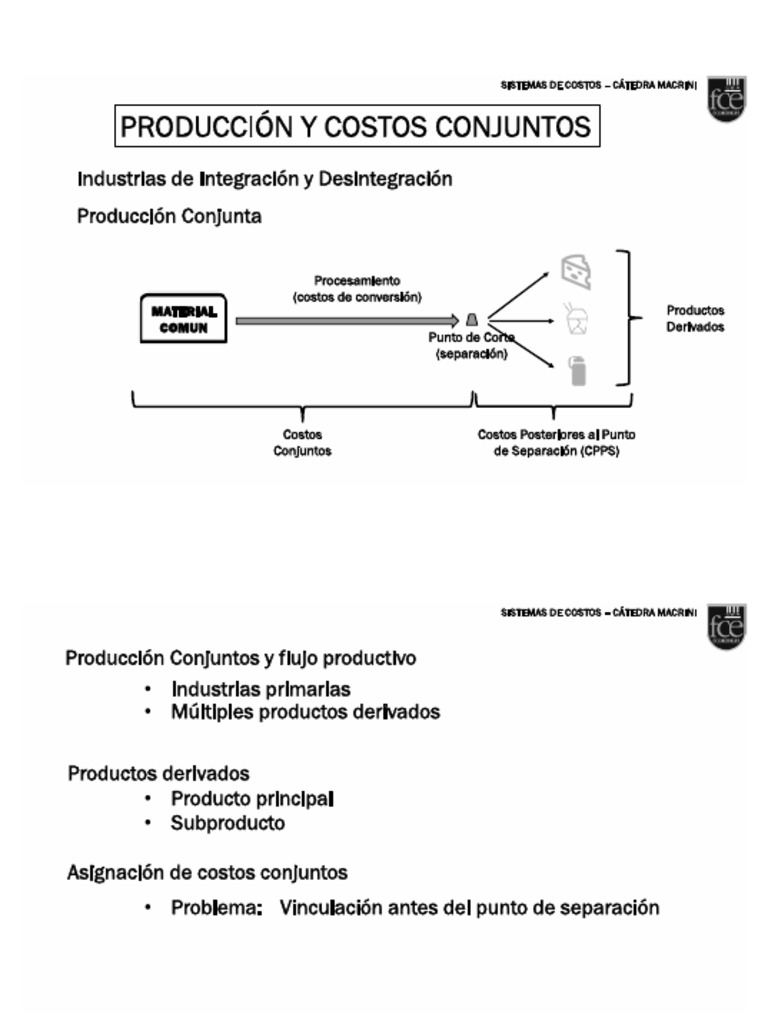 Costos Conjuntos | PDF