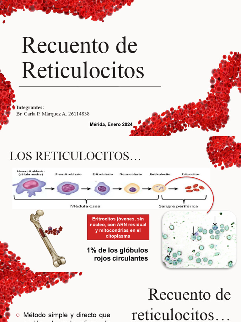 Reticulocitos E Eritrocitos INTERPRETACIÓN CLÍNICA DEL HEMOGRAMA