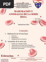 Determinación de Hemoglobina con Drabkin | PDF | Sangre | Hemoglobina