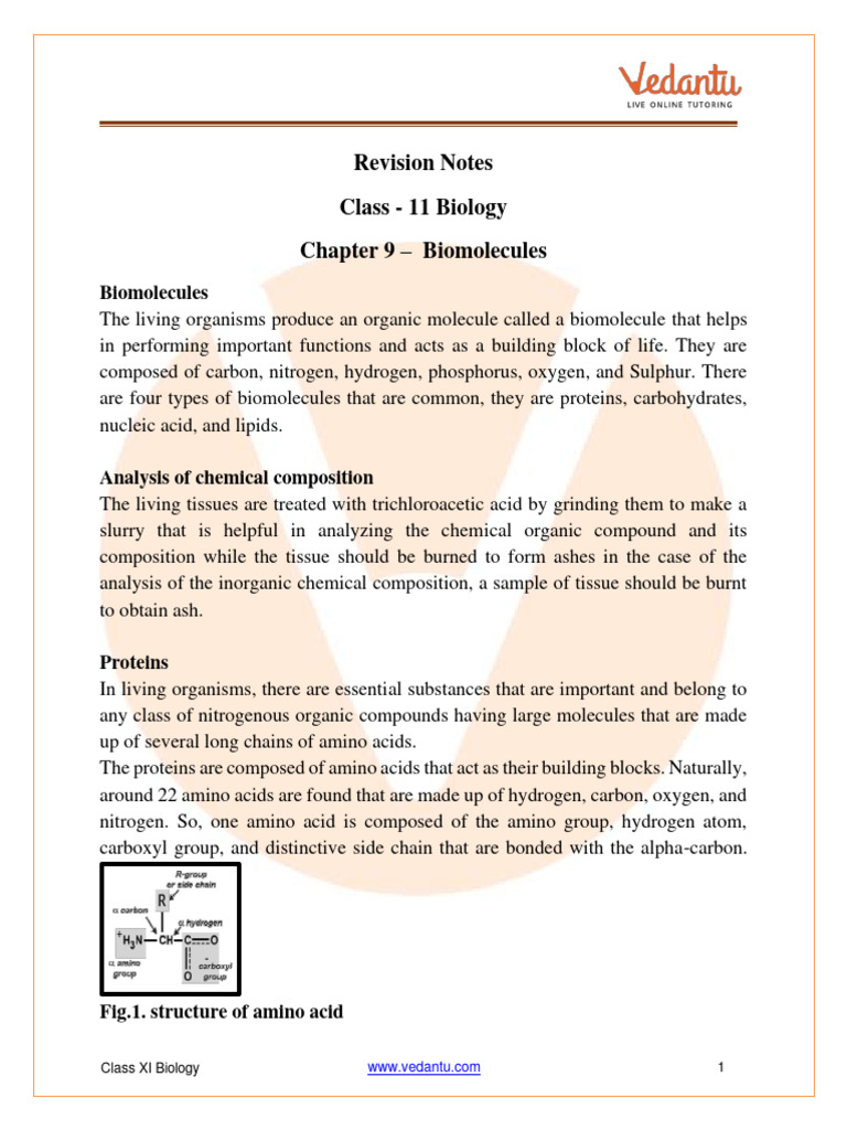 Cbse Class 11 Biology Notes Chapter 9 | PDF | Dna | Nucleic Acids