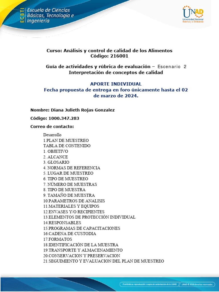 Formato T Individual E2 Curso216001 Diana Rojas | PDF