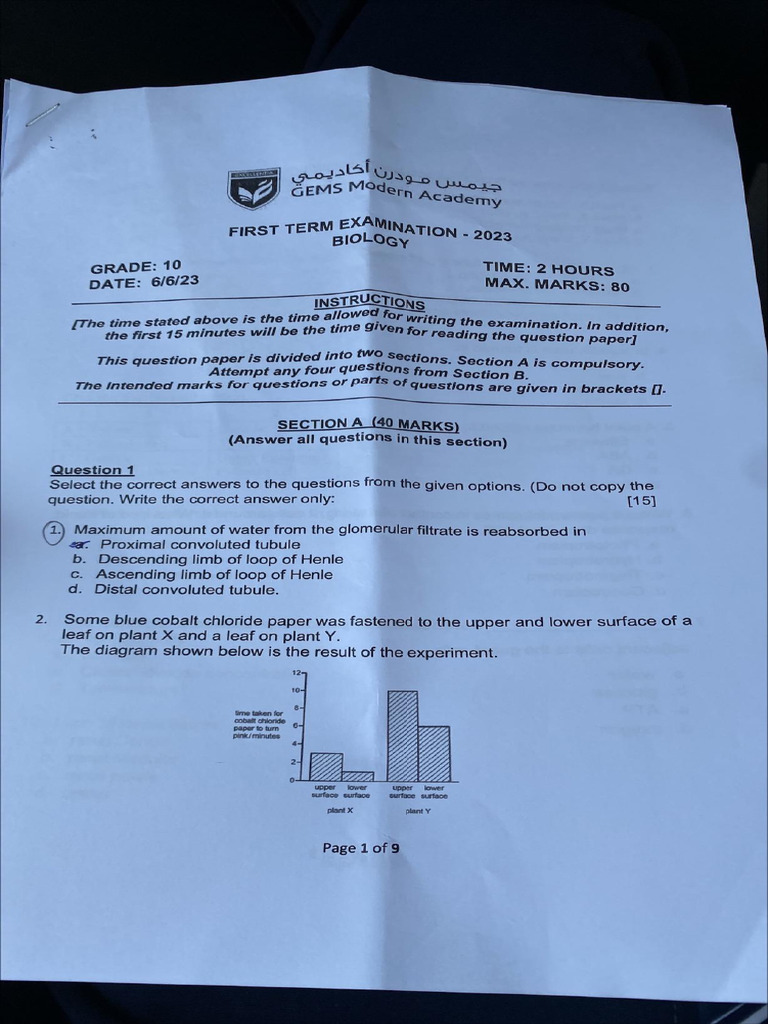 GMA Paper 1 | PDF