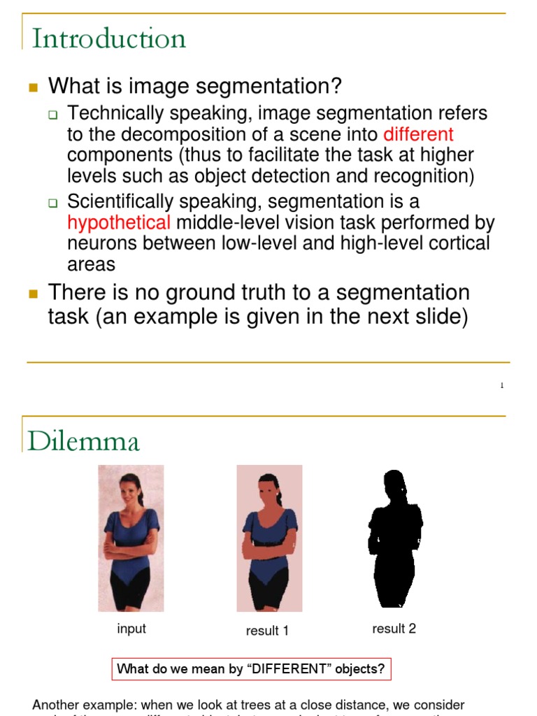 What Is Image Segmentation?: Different | PDF | Image Segmentation | Cluster Analysis