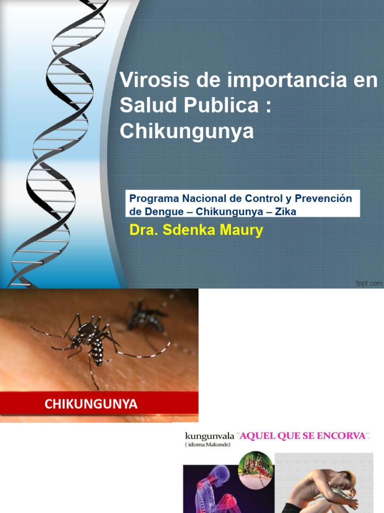 Pract. 3 Presentacion CHIKUNGUNYA | PDF | Especialidades Medicas ...