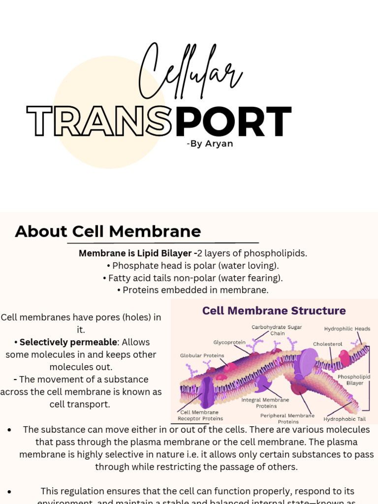 Cellular Transport Pdf Cell Membrane Biotechnology