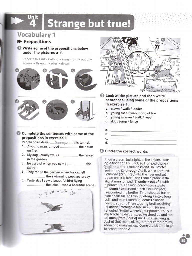 Phases 2 Activity (Unidad 4 A 6) | PDF